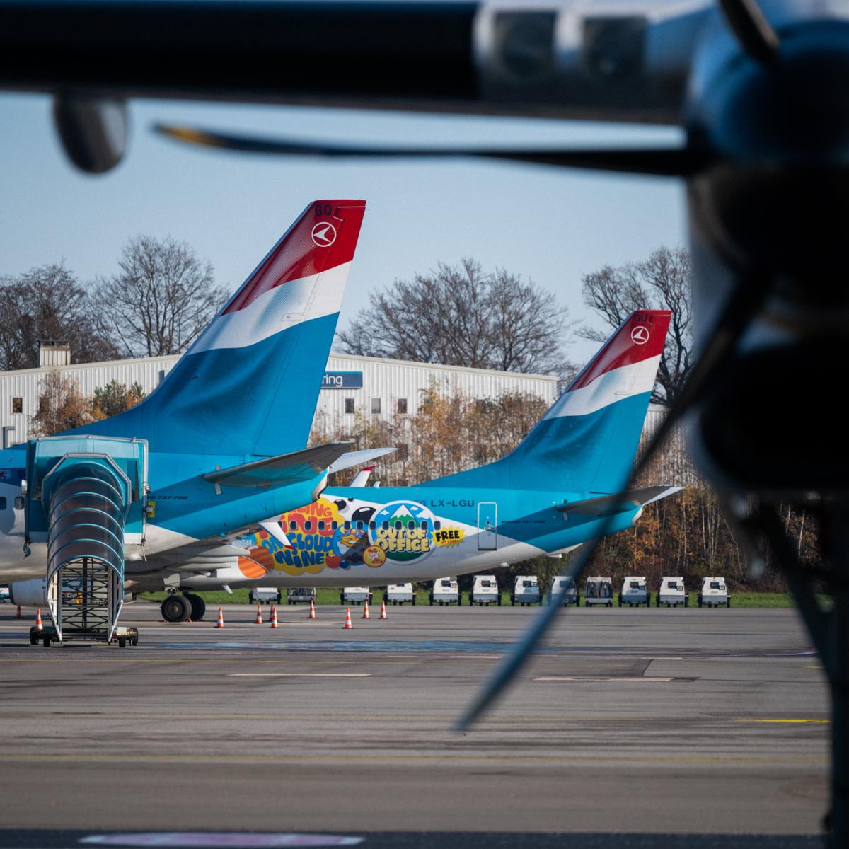 Tour operators between two waves | Lëtzebuerger Journal