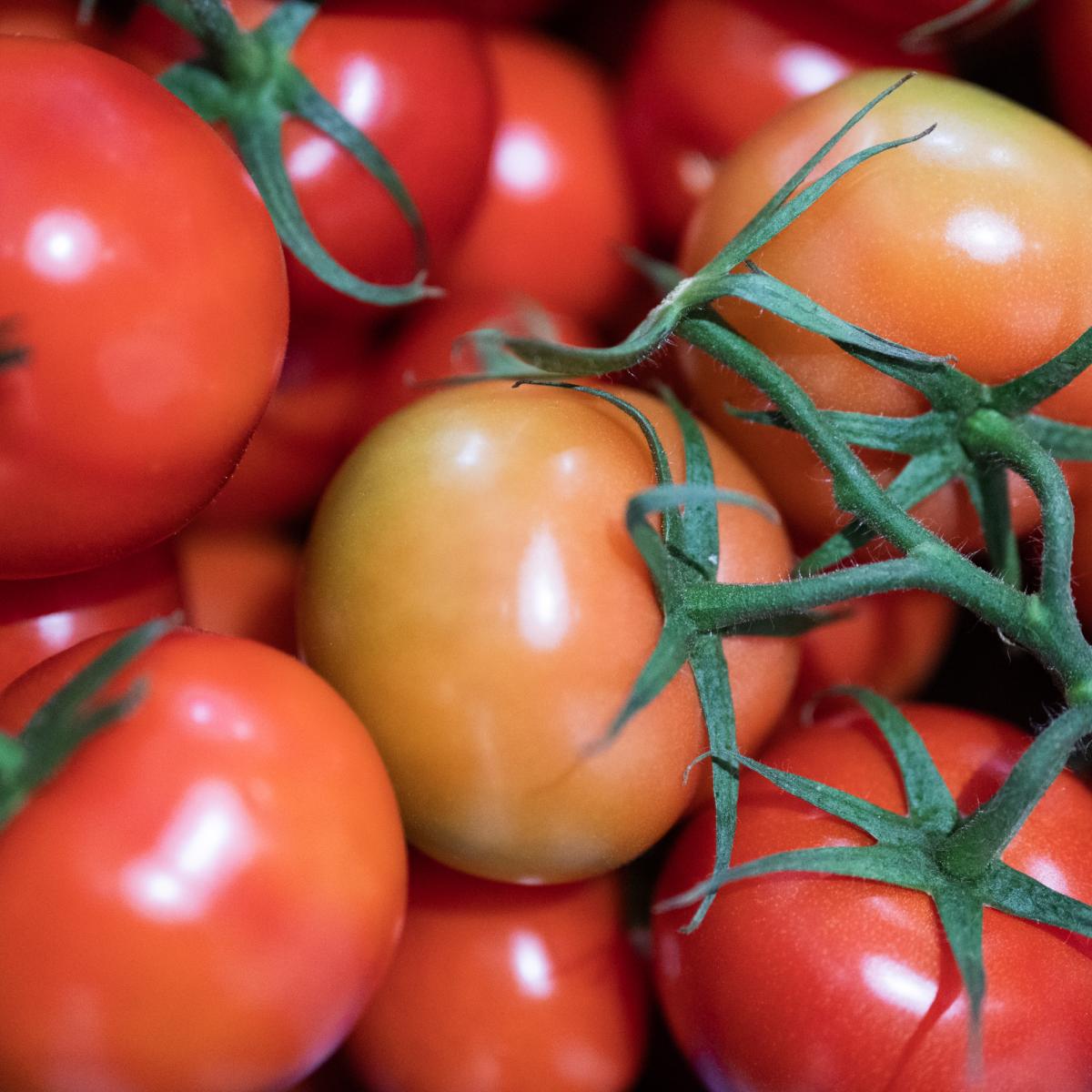 The genetic engineering debate is mutating | Lëtzebuerger Journal