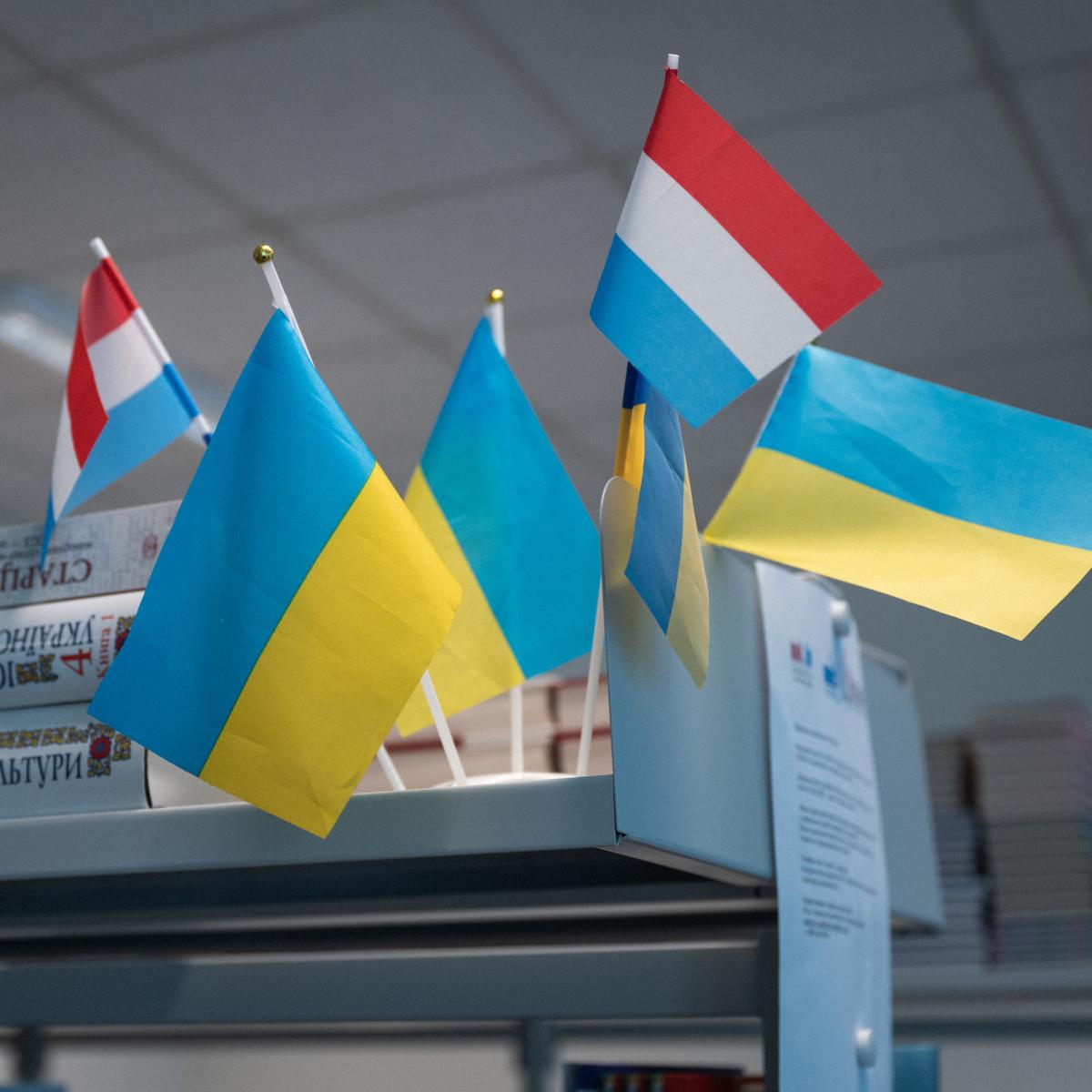 Travailler, un défi pour les réfugié·e·s ukrainien·ne·s | Lëtzebuerger ...